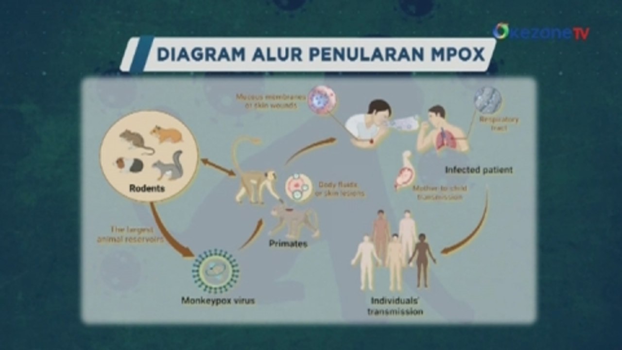 Diagram Alur Penularan Mpox atau Monkeypox - video Dailymotion