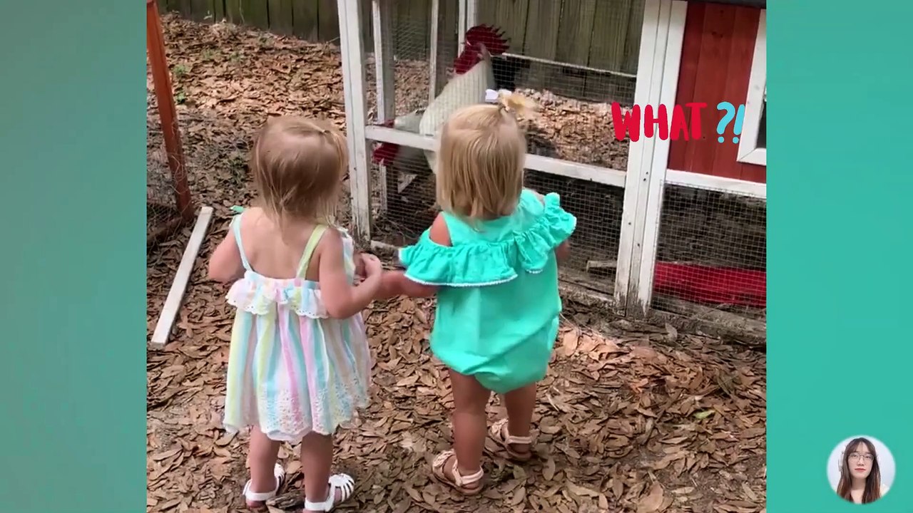 Funny_Baby_Meet_Animals_For_The_First_Time____5-Minute_Fails(1080p ...