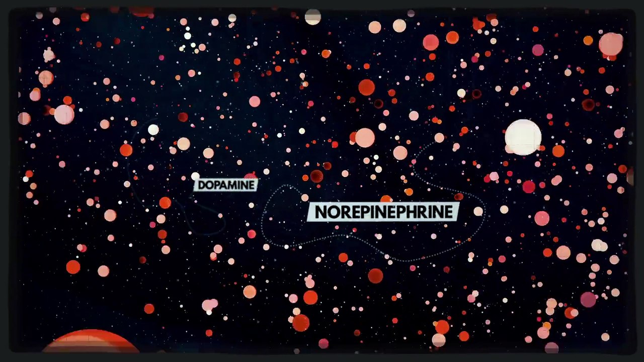 How the food you eat affects your brain - Mia Nacamulli - video Dailymotion