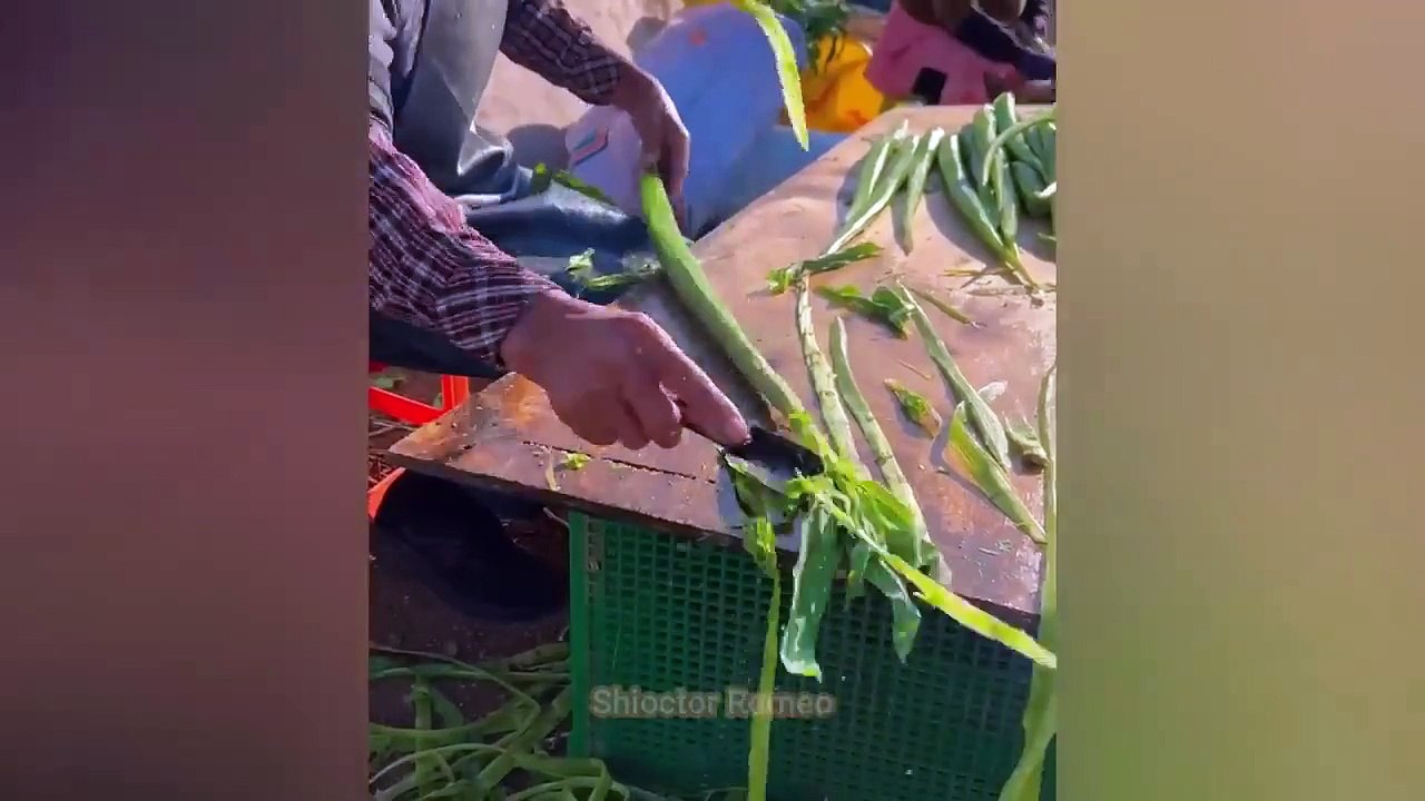 Incredible Moments Of People And Tool Caught on Camera P230 ️‍ Best ...