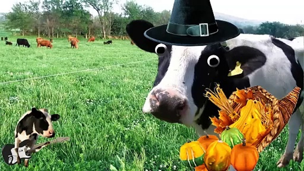 Cow Songs - video Dailymotion