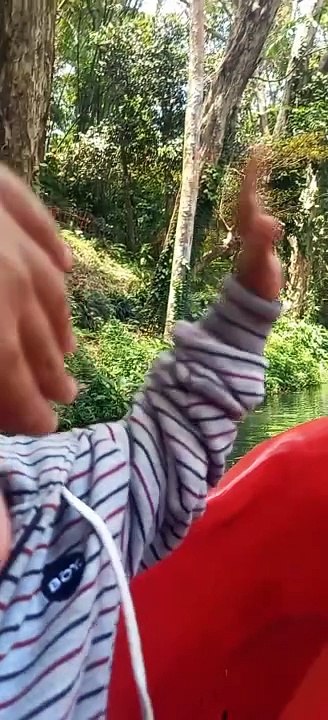 taman wisata bon pring kab malang - Video Dailymotion