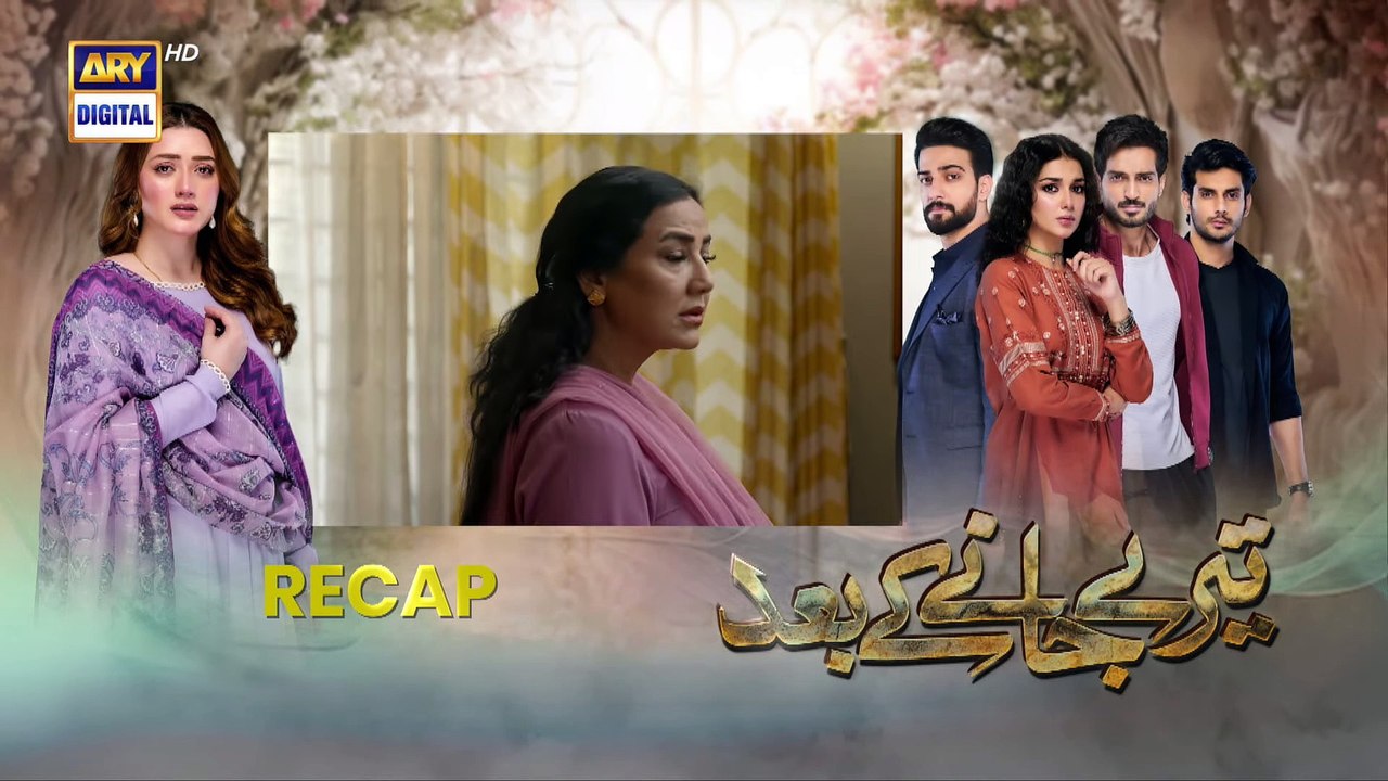 Teray Janay Kay Baad Episode 28 - 5 Sep 2024 ARY Digital Drama - video Dailymotion