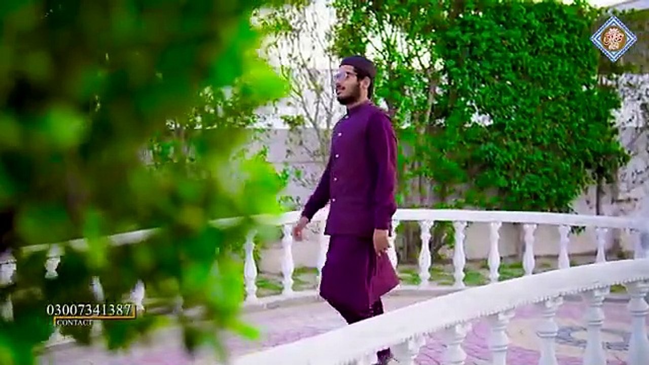 Muhammad_Dy_Sahaba_Di___محمد_دے_صحابہ_دی___Hafiz_Umar_Farooq_Awan___Islamic_Hub - video Dailymotion