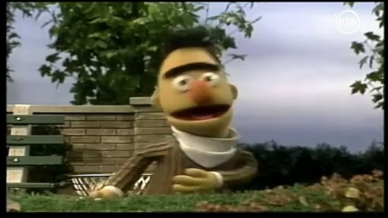 Sesame Street: Calling All Pigeons (Latin Spanish) - video Dailymotion