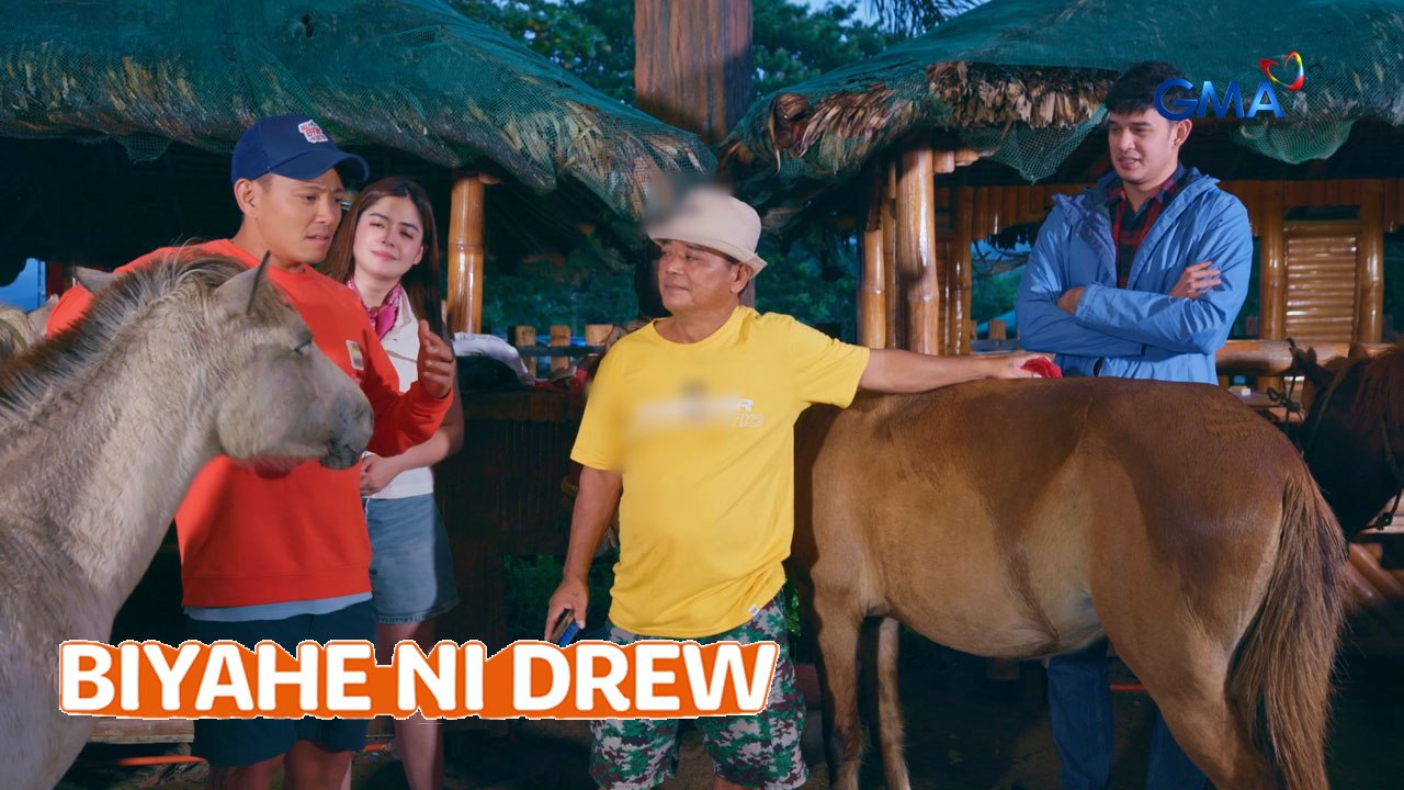 Mga kabayong na-rescue nang sumabog ang bulkang Taal noon, kumusta na ...