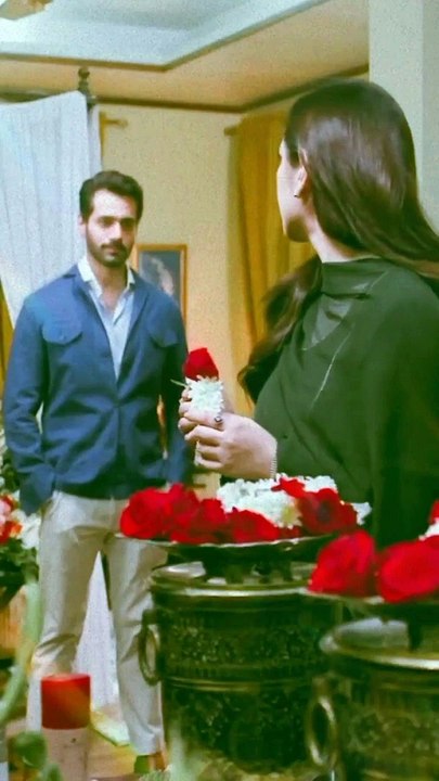 TERE HAWALY KR DIYA | BEAUTIFUL SONG - video Dailymotion