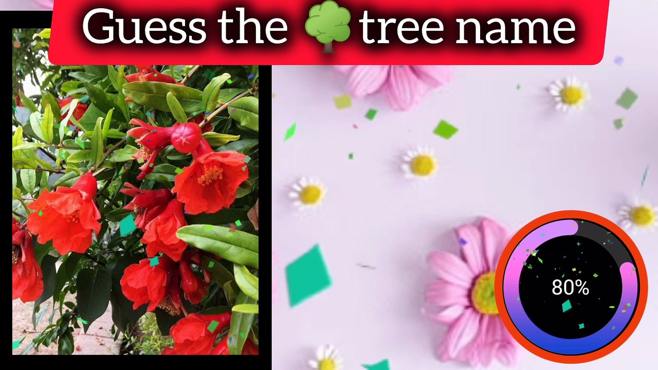 Guess the tree name, learn the tree name - video Dailymotion