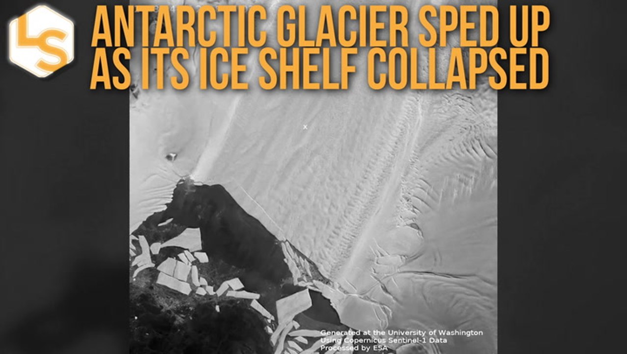 Antarctic Glacier Sped Up As Its Ice Shelf Collapsed - video Dailymotion