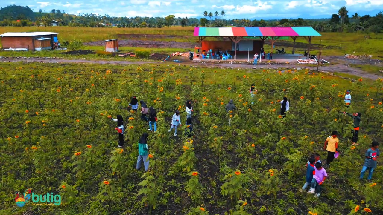 The Sandab Demo Farm: A Year and a Half Later - video Dailymotion