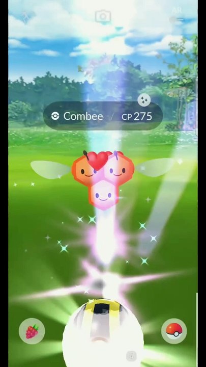 Pokémon GO-Shiny Combee - video Dailymotion