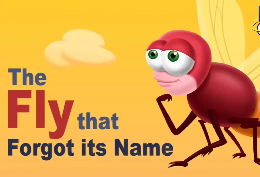 The Fly Has forgotten his Name - video Dailymotion