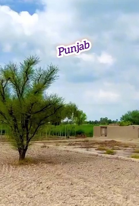 Pind Punjab dey village life in Punjab India and Pakistan - video ...