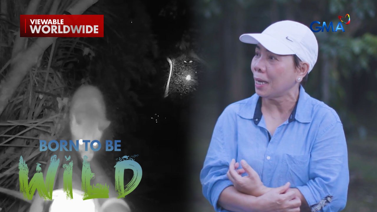 Farm house ni Susan Enriquez, gabi-gabing binibisita ng isang itim na ...