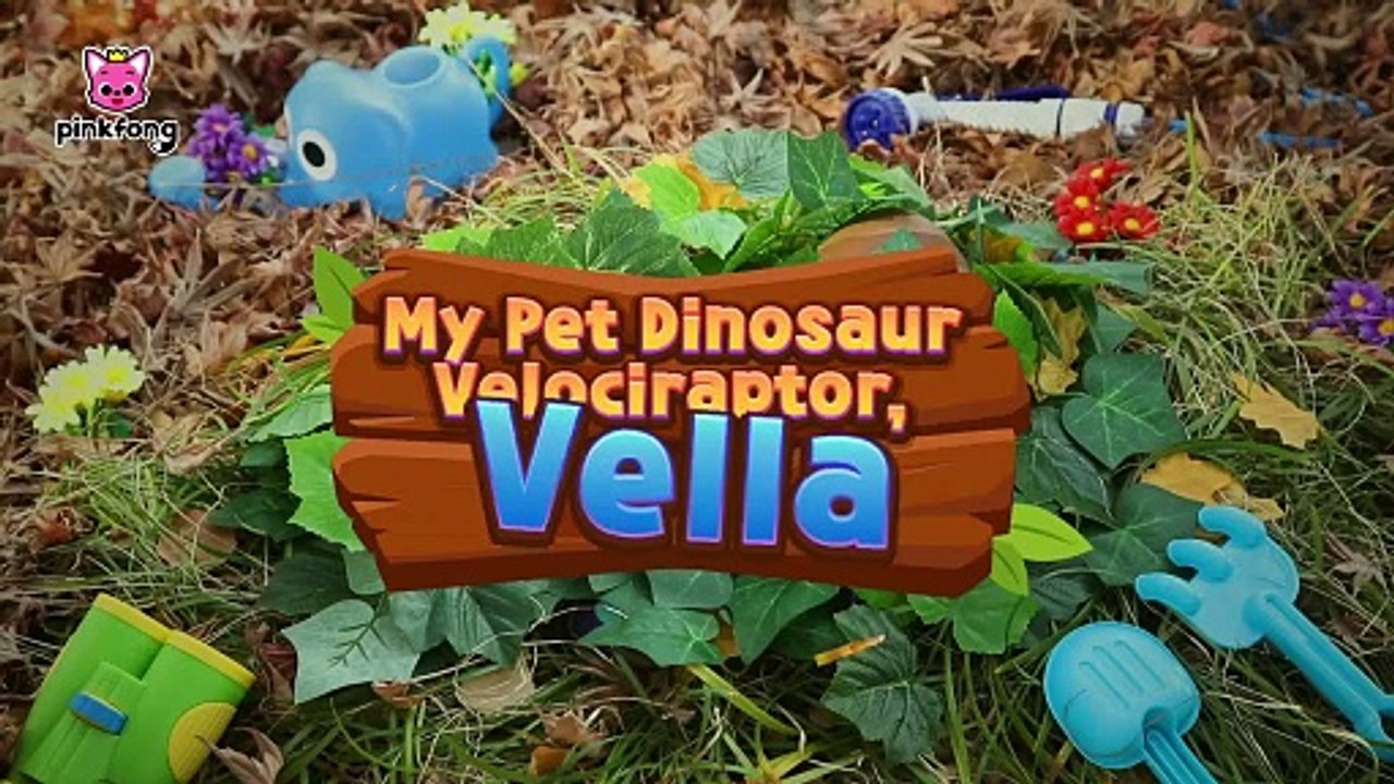 Meet the small Dinosaur Velociraptor, Vella _ My Pet Dinosaur _ for ...