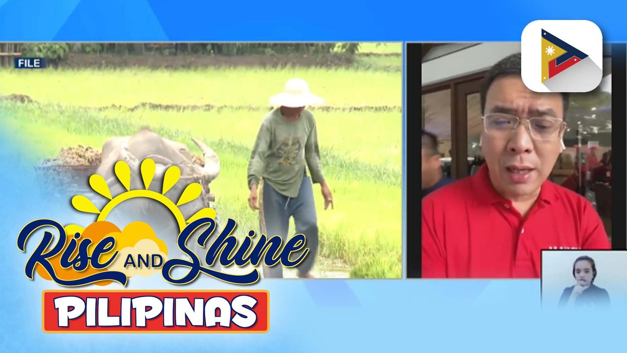 Estado ng rice hoarding and agricultural economics sa Pilipinas, alamin ...