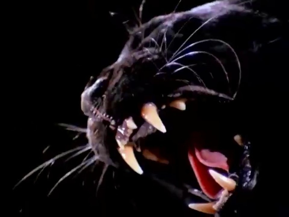 Manimal TV Series 1983 - Episode 01 - Manimal - video Dailymotion