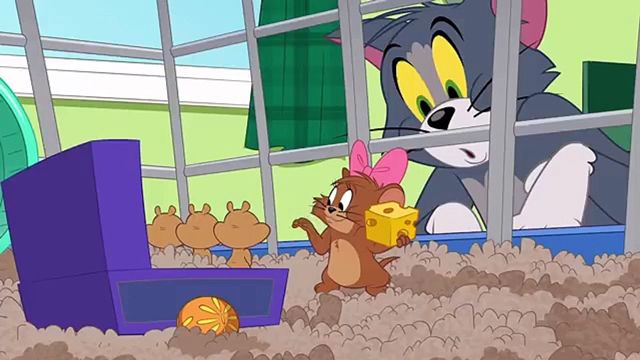 Tom and Jerry Hamster Havoc (10,000 Pups) - video Dailymotion