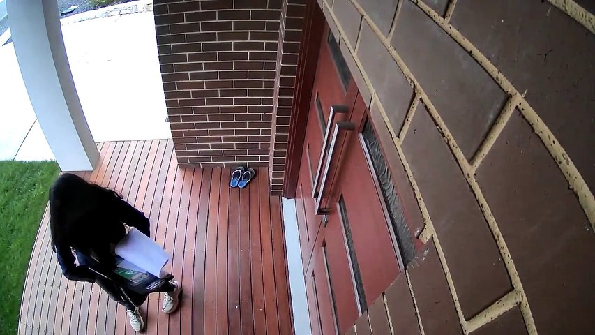 Greens candidate Harini Rangarajan takes a Liberal flyer and replaces ...