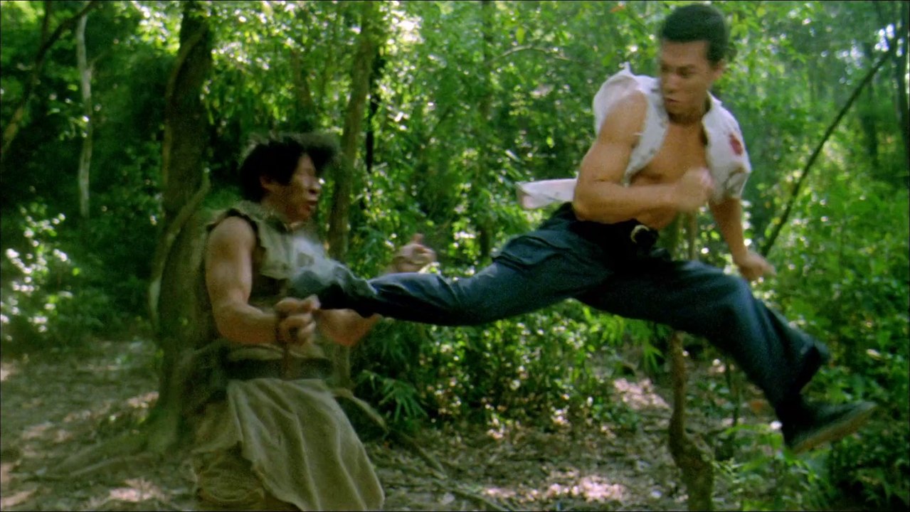 Donnie Yen vs Mak Wai - Legend Of The Wolf (1997) - video Dailymotion