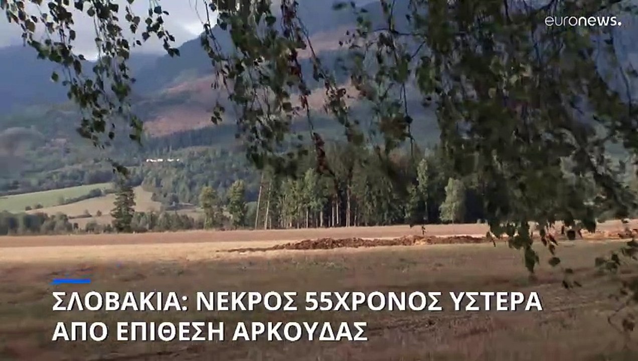Αρκούδα επιτέθηκε και σκότωσε έναν 55χρονο σε δάσος της Σλοβακίας ...