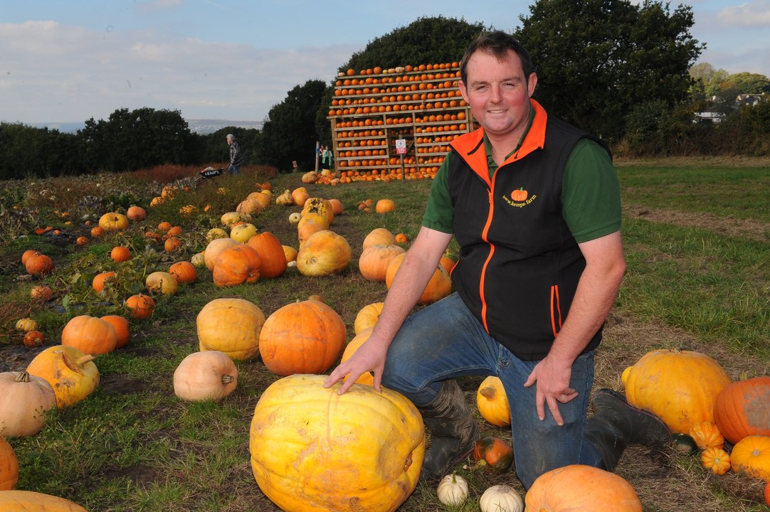Pumpkin pickers in Leeds get into the Halloween spirit at Kemps Farm in ...