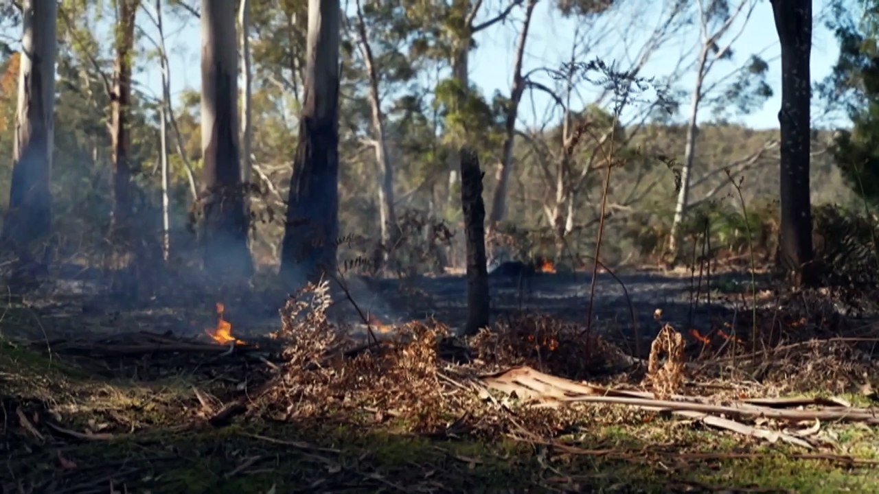 Firesticks Group Teaches Aboriginal Cultural Burning Practices To Help