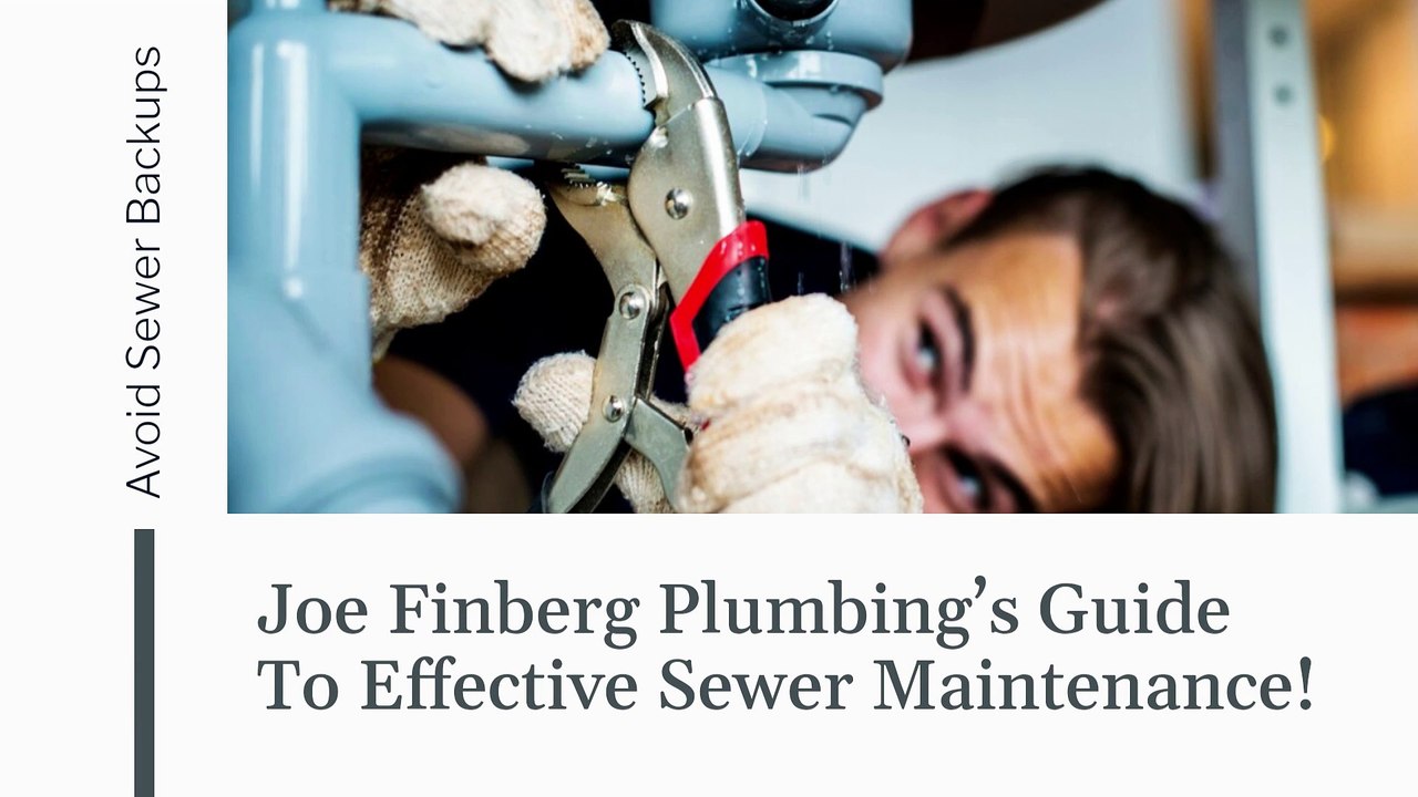 Joe Finberg - video Dailymotion