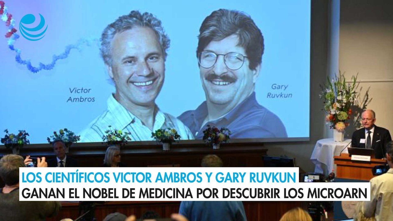 Los científicos Victor Ambros y Gary Ruvkun ganan el Nobel de Medicina ...