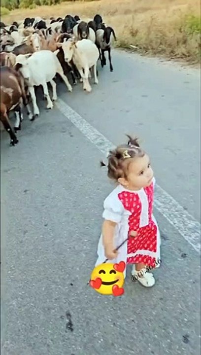 Bcjfbdd dhdjf f gfjfifbf - video Dailymotion