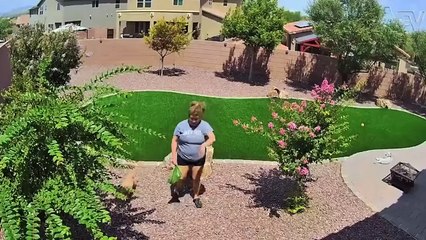 Caught in 4k funny security camera fails (moments by Victor Pizzey ...