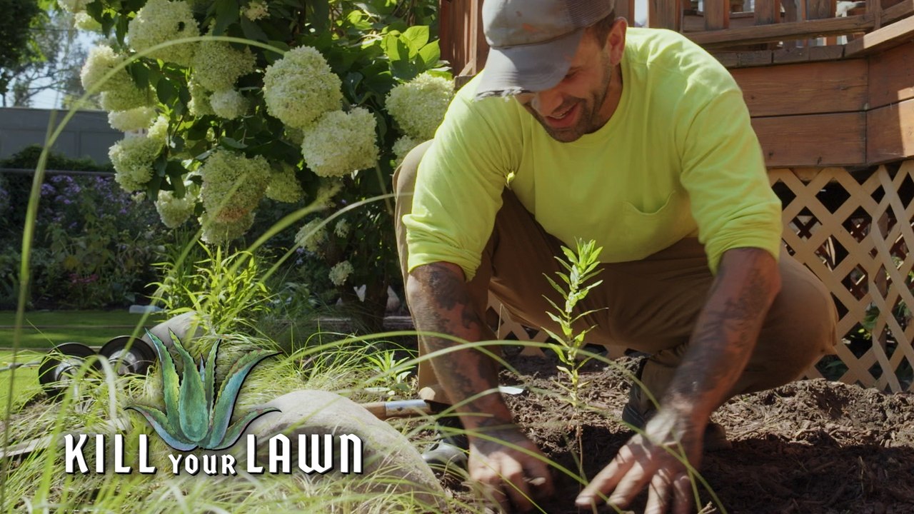 Turning A Suburban Yard Into A Prairie | Kill Your Lawn Clip | EarthX ...