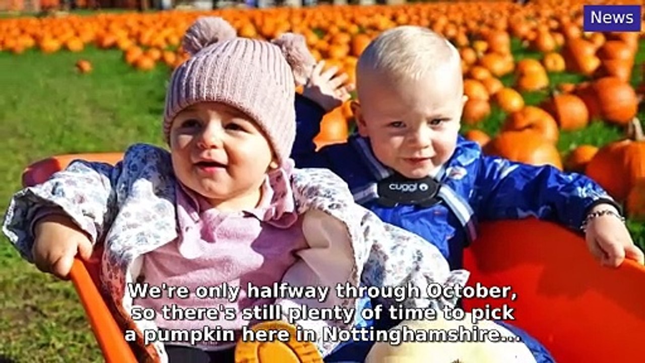 Mansfield and Ashfield Chad Morning Update 15 October, 2024 - video ...