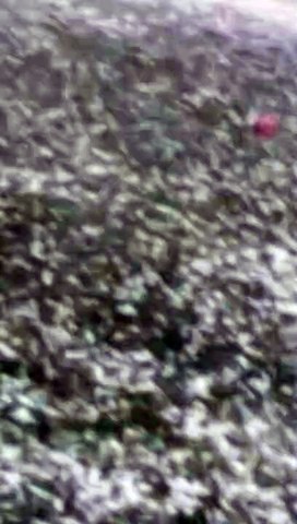 Casterton hit by hail storm | The Standard | Warrnambool, VIC