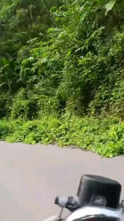 When my mood is off! Then I need a bike ride to recover my mood ! - video Dailymotion