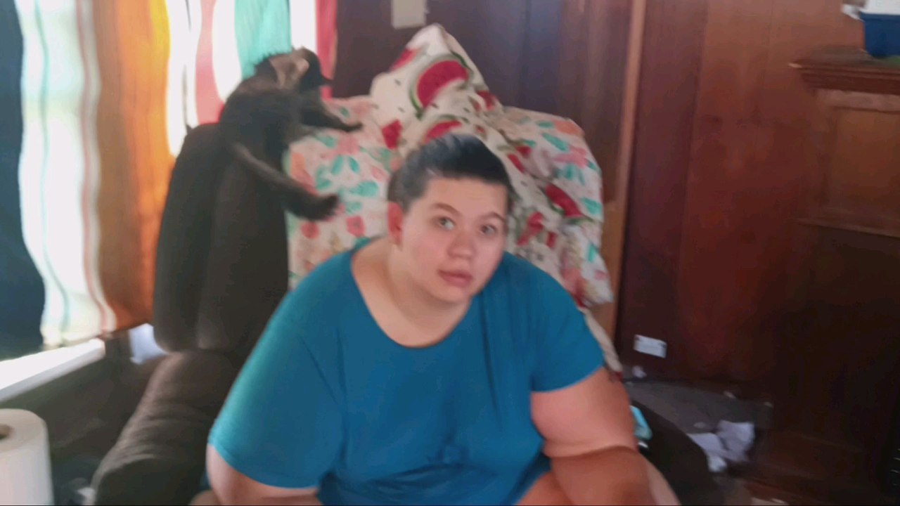 Black Sheep Going Downhill Fast Red 5 - video Dailymotion