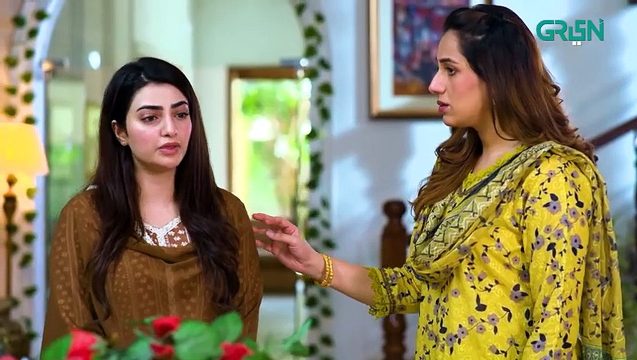 Shehzadi House Episode 17 22nd October 2024 - video Dailymotion
