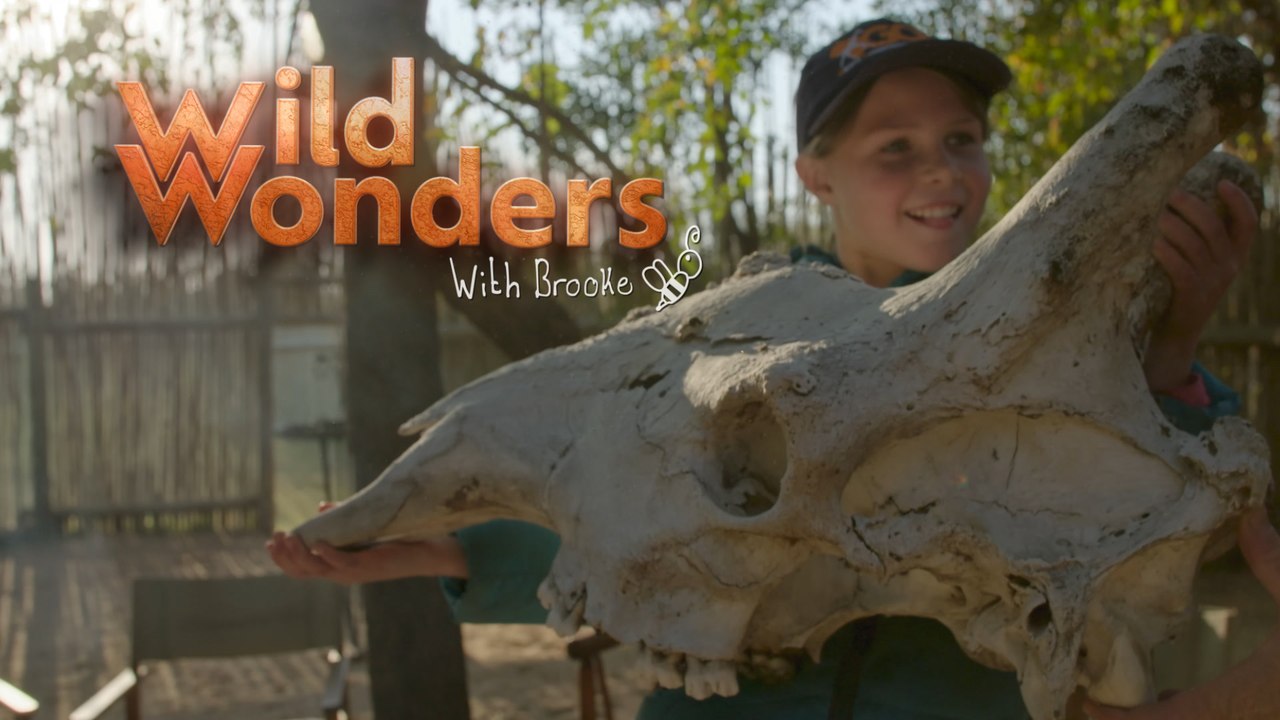 Is A Giraffe's Head Bigger Than A Child? | Wild Wonders with Brooke ...