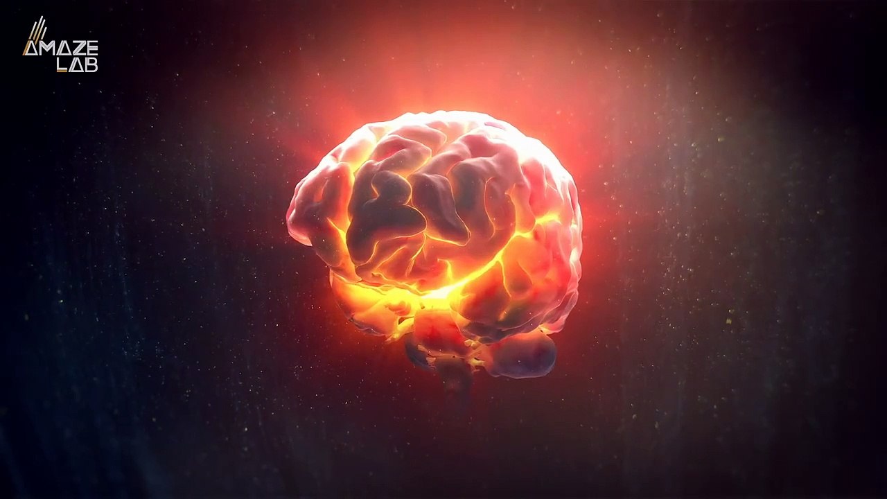 Scientists Were Able to Revive Pig Brains After an Hour of Death in ...