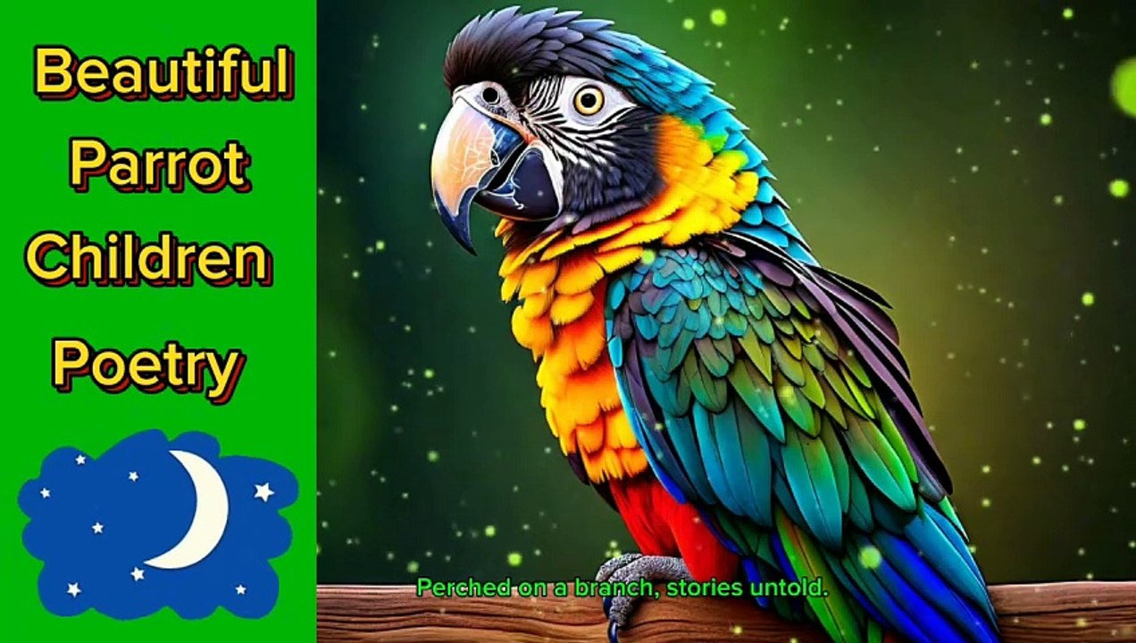 Beautiful Parrot Children Poetry, Best And New Poetry, Bedtime Baby ...