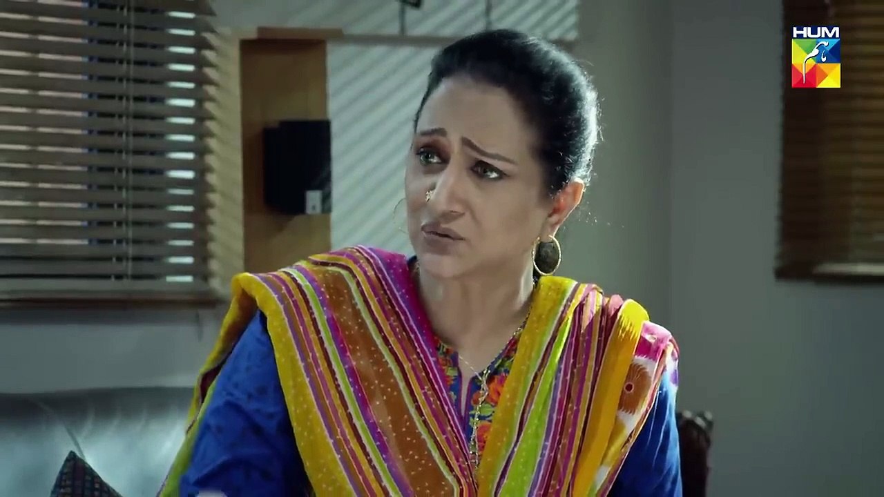 Udaari Episode 17 HUM TV Drama(720P_HD) - video Dailymotion