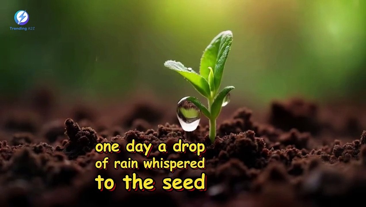 The Little Seed’s Journey |A Tale of Growth and Courage | TrendingA2Z ...
