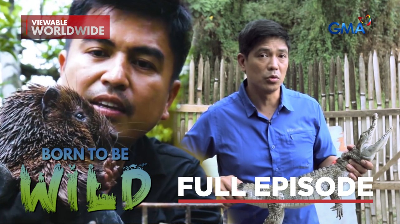 Endangered Wild Animals in Captivity (Full Episode) | Born to be Wild ...