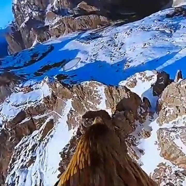 The Eagle's Point of View YouTube VR - video Dailymotion