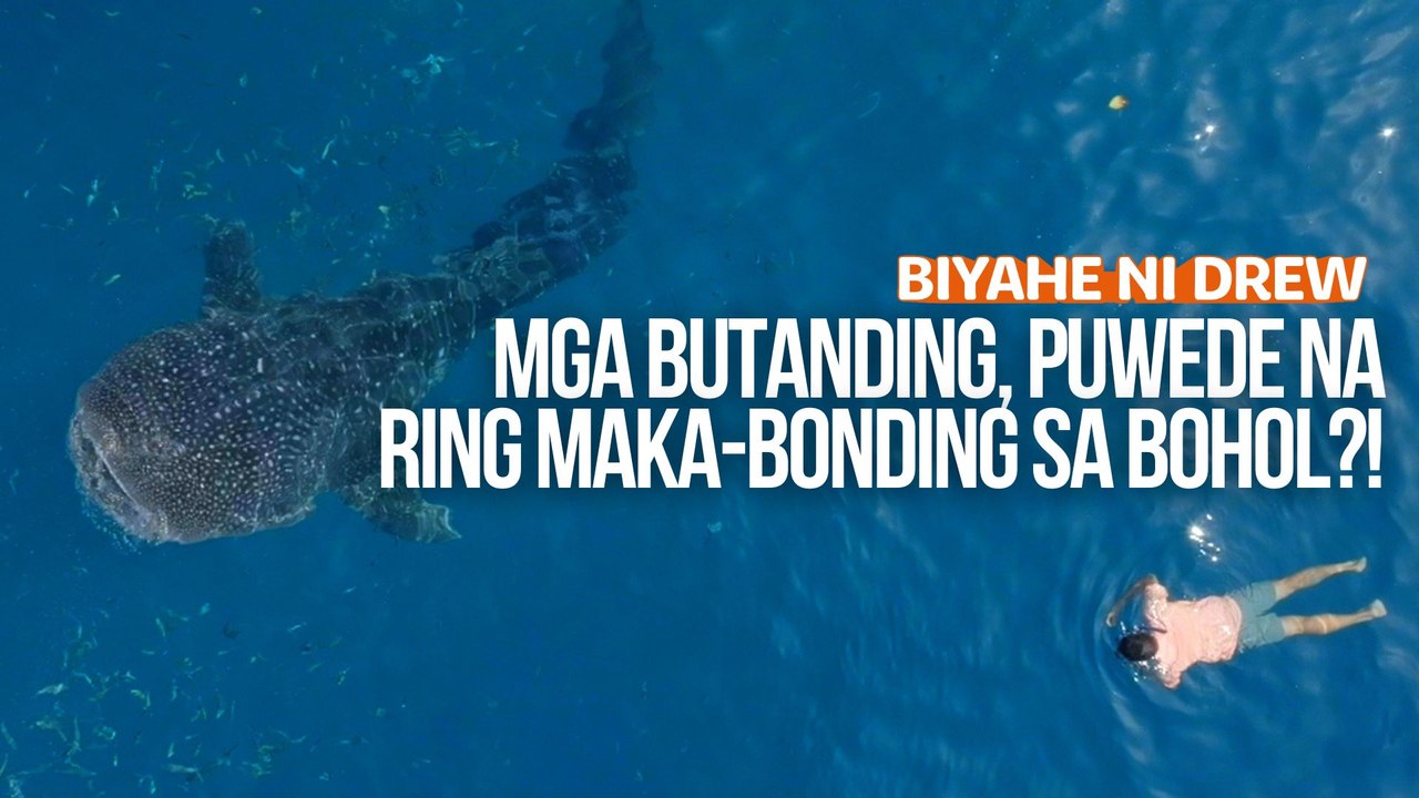 Mga butanding, puwede na ring maka-bonding sa Bohol?! | Biyahe ni Drew ...