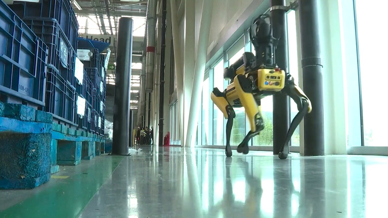 Meet ‘Rover', the AI-driven robot dog - video Dailymotion