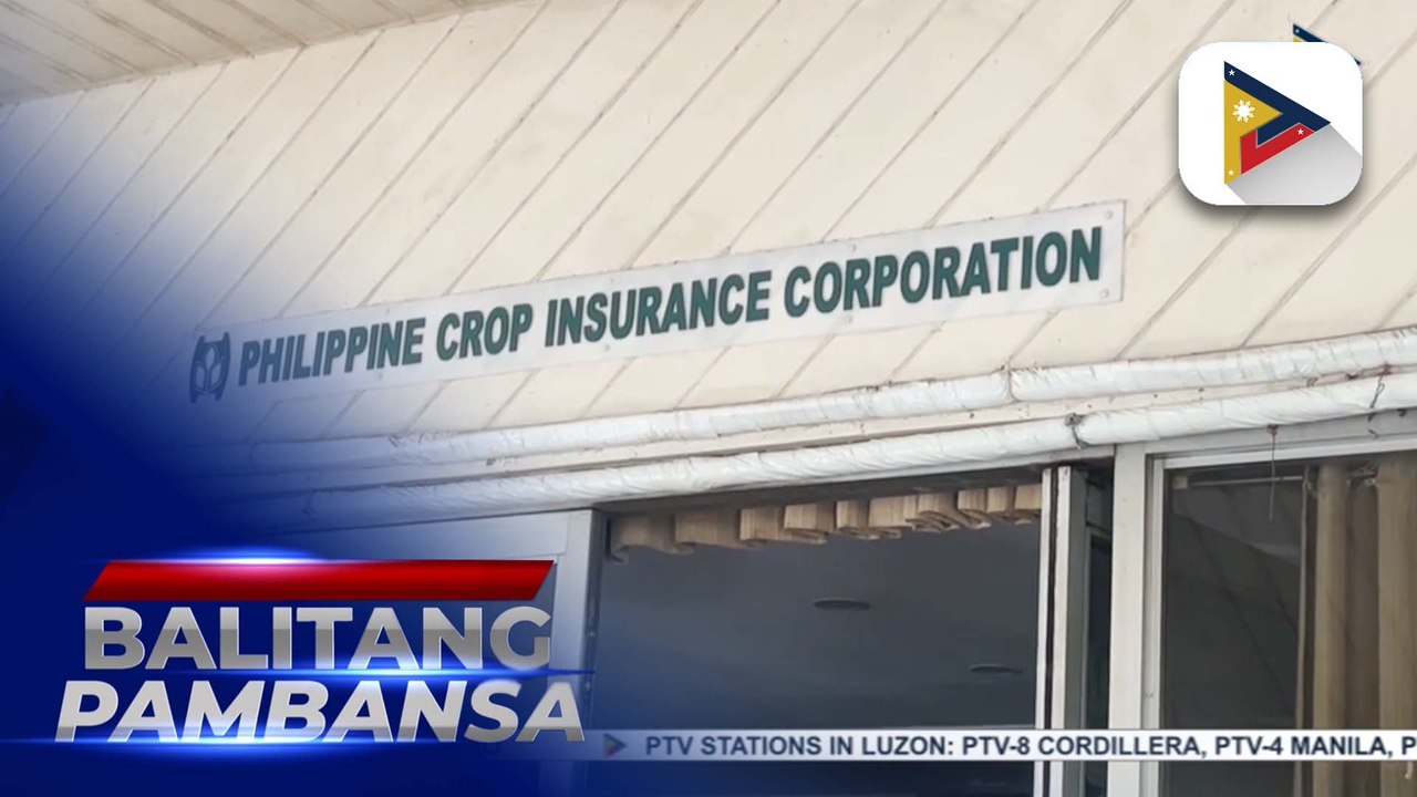 PCIC Regional Office 3A, tumatanggap na ng abiso ng pinsala sa mga ...
