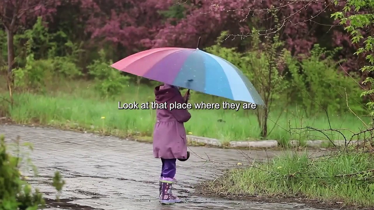 Awaken Your Inner Rebel - Break Free and Thrive - Best Self Discipline ...