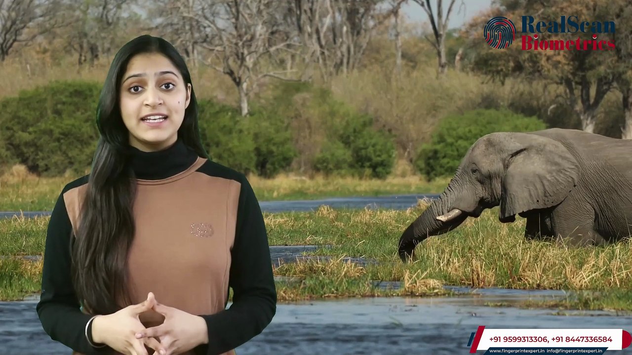 Police Clearance Certificate from UGANDA | PCC Uganda – RealScan ...