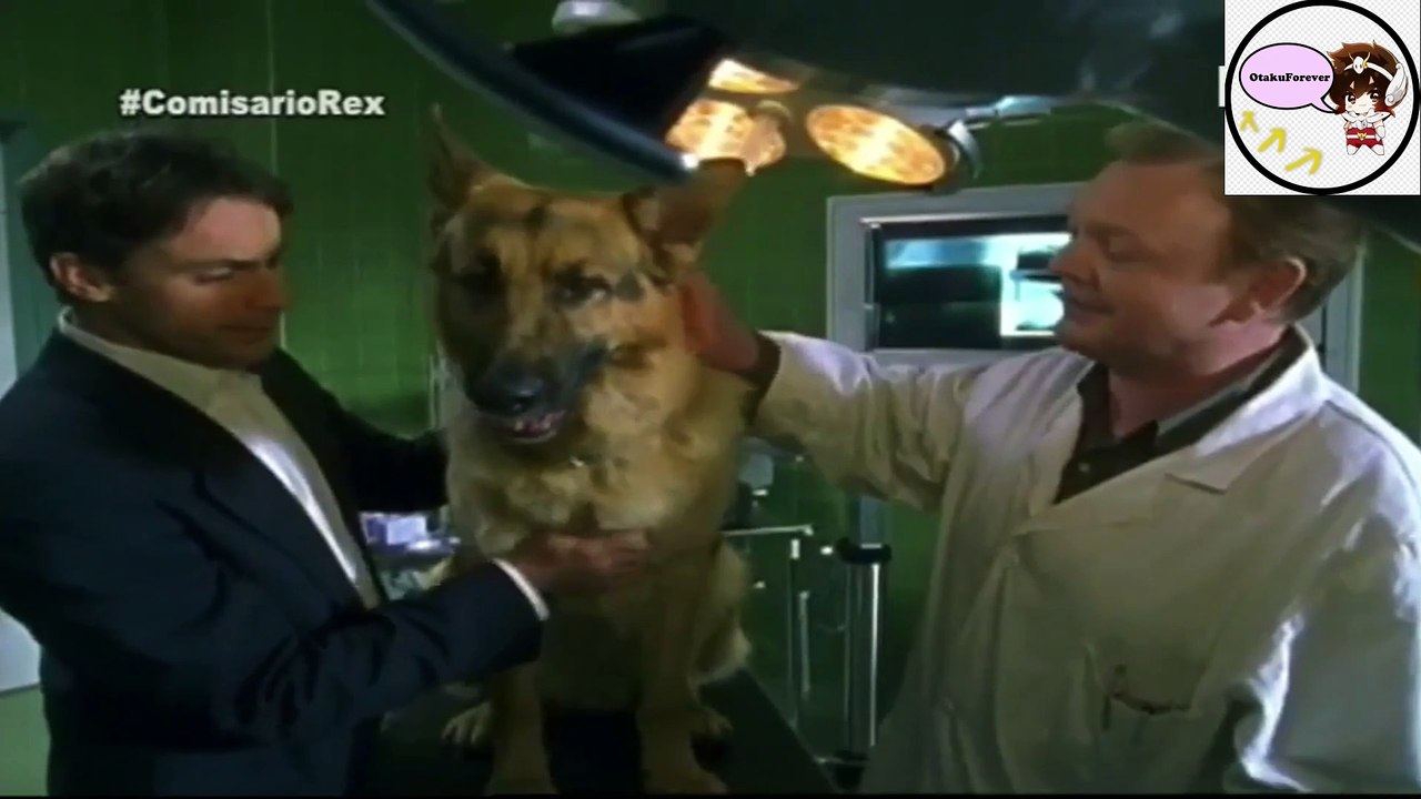 Comisario Rex Temporada 6 Capitulo 11 - Vídeo Dailymotion